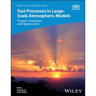 预订 Fast Processes in Large-Scale Atmospheric Models