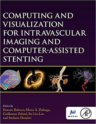 【预订】Computing and Visualization for Intravascular Imaging and Computer-Assisted Stenting