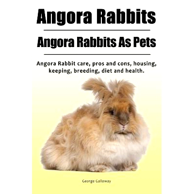 预订 Angora Rabbit. Angora Rabbits As Pets. Angora Rabbit care, pros and cons, housing, keeping, breeding, diet and heal