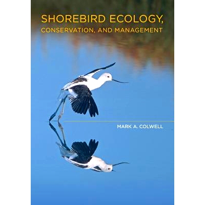 预订 Shorebird Ecology, Conservation, and Management 水鸟生态，保护与管理: 9780520266407