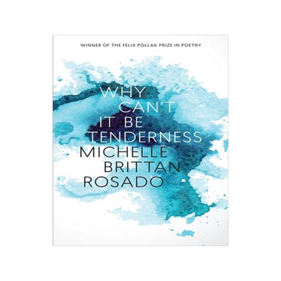 [预订]Why Can’t It Be Tenderness 9780299319946