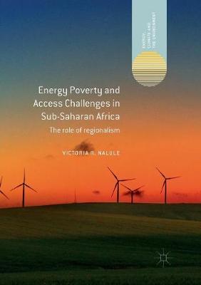 【预订】Energy Poverty and Access Challenges in Sub-Saharan Africa: The Role of Regionalism