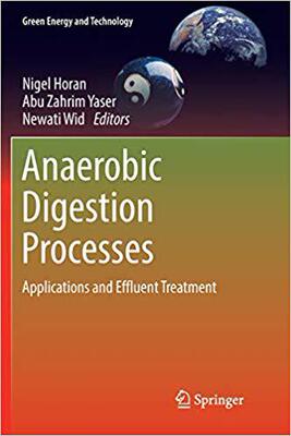 【预售】Anaerobic Digestion Processes: Applications and Effluent Treatment