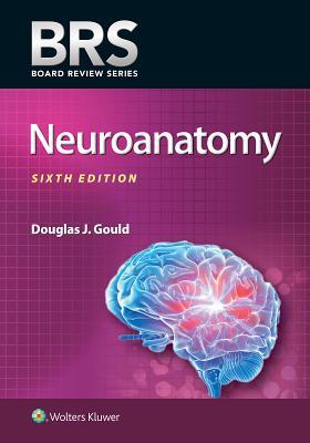 【预订】BRS Neuroanatomy