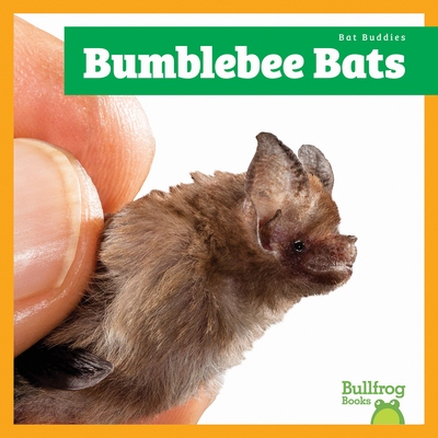 预订 Bumblebee Bats 9798896621904