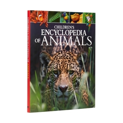预订 Children’s Encyclopedia of Animals: Take a Walk on the Wild Side!: 9781788285063