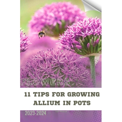 预订 11 Tips For Growing Allium in Pots: Become flowers expert: 9798873095650