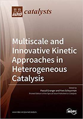 【预售】Multiscale and Innovative Kinetic Approaches in Heterogeneous Catalysis