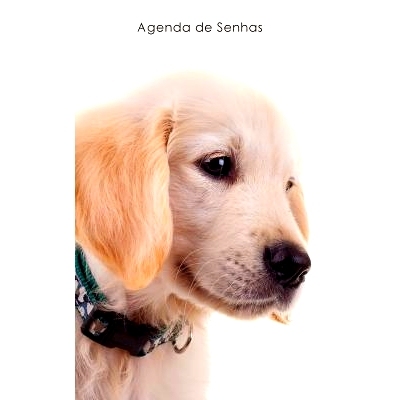 预订 Agenda de Senhas: Agenda Para Enderecos Eletronicos E Senhas: Capa Cachorrinho Golden Retriever - Portugues (Brasil