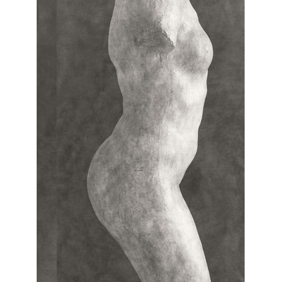 预订 Rodin: Photographs by Emmanuel Berry 罗丹: 9782365111058