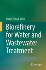 【预订】Biorefinery for Water and Wastewater Treatment 9783031208218