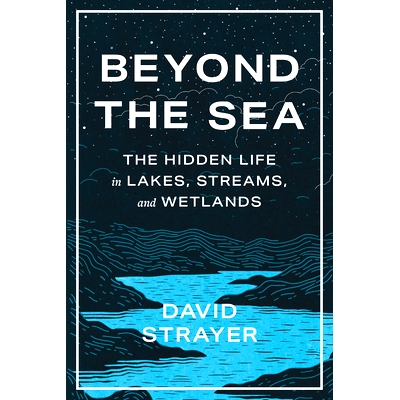 预订 Beyond the Sea: The Hidden Life in Lakes, Streams, and Wetlands 海洋之外：湖泊、溪流和湿地中隐藏的生命: 97814214500