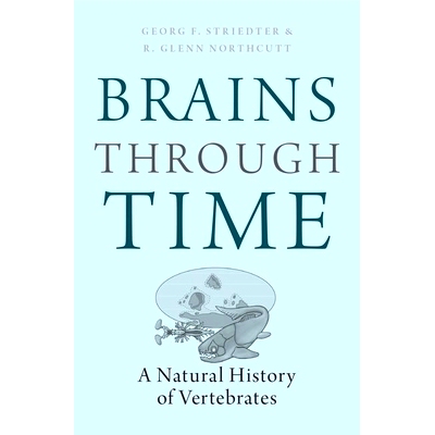Brains Through Time: A Natural History of Vertebrates 穿越时空的大脑：脊椎动物的自然史: 9780195125689