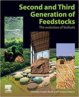 【预售】2nd and 3rd Generation of Feedstocks