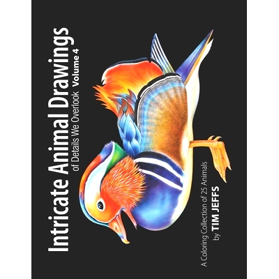 预订 Intricate Animal Drawings of Details We Overlook: Volume 4: 9798391207481