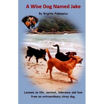 预订 A Wise Dog Named Jake: Lessons on life, survival, tolerance and love from an extraordinary stray dog: 9781983808999