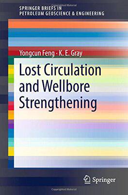 【预售】Lost Circulation and Wellbore Streng...