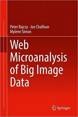 【预售】Web Microanalysis of Big Image Data...
