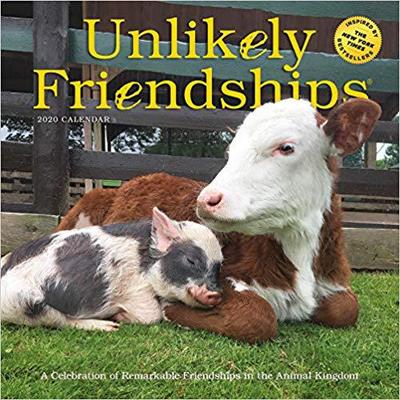 【预售】Unlikely Friendships Wall Calendar 2020
