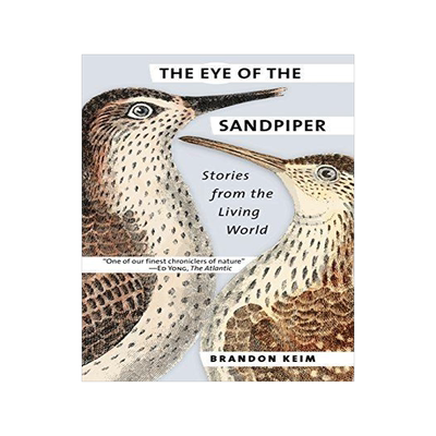 [预订]The Eye of the Sandpiper 9781501707728