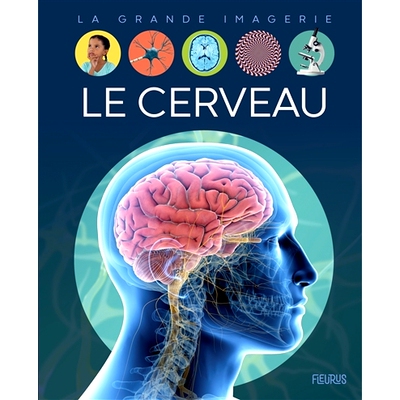 预订 Le cerveau 大脑: 9782215176398