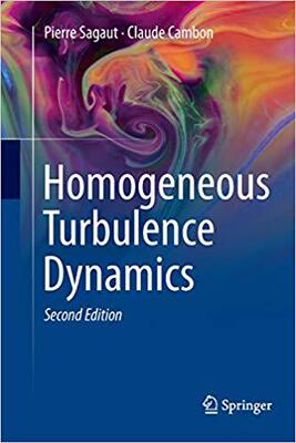 【预售】Homogeneous Turbulence Dynamics