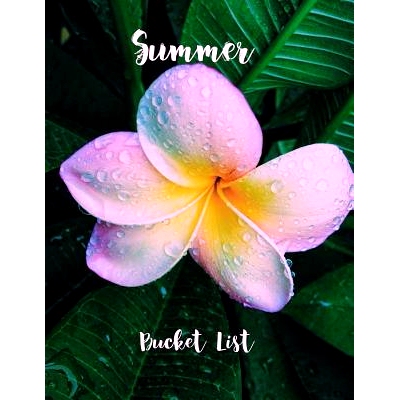 预订 Summer Bucket List: Pink Plumeria Flower Design Summer Bucket List Scrapbook Includes summer reading lists, trip li