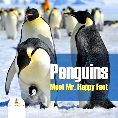 预订 Penguins - Meet Mr. Flappy Feet: 9781682128756