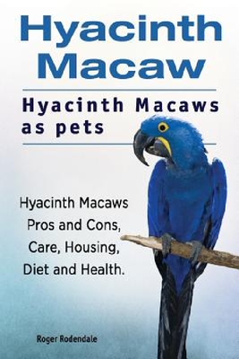 【预订】Hyacinth Macaw. Hyacinth Macaws as P...