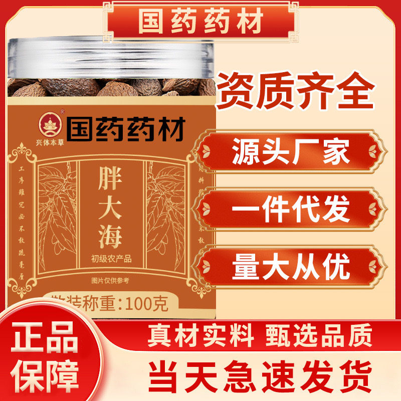 国药药材胖大海100g罐装胖大海 圆果中药材胖大海泡茶泡水批发
