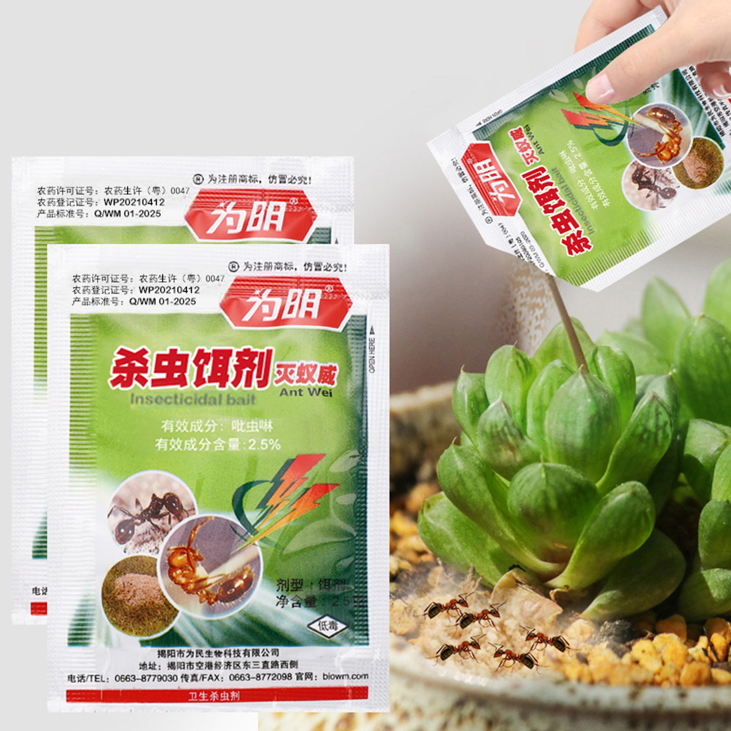 为明牌灭蚁威家用蚂蚁药一窝全窝厨房室内灭杀黄黑红火蚁杀蚁饵剂