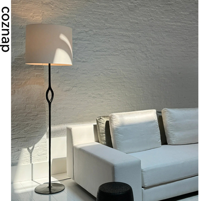 法式Liaigre落地灯设计师款别墅大平层书房客厅灯简约全铜落地灯