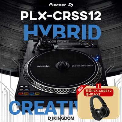 Pioneer/先锋黑胶打碟机CRSS12