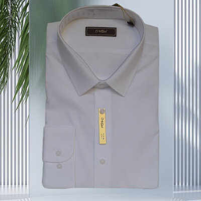 金利来男装长袖衬衫白色纯棉修身商务正装衬衣MSLD118-31109-00
