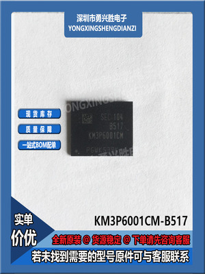 KM3P6001CM-B517芯片电子