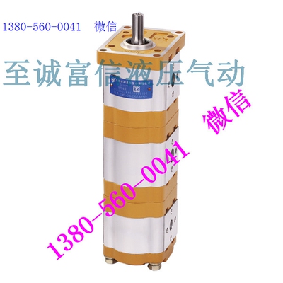 合肥长源液压CBWSL-E320/E310/E306-TFZ、TFZL 三联齿轮油泵