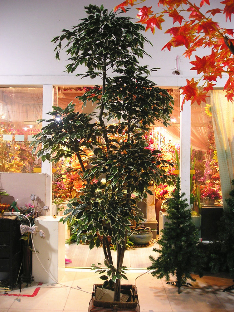 仿真植物 仿真树假树） 5球大型美国榕树工程布景客厅装饰）虎窝淘 9787
