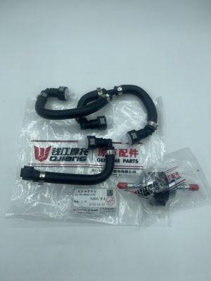 钱江摩托车滤清器黄龙BJ600BJ500BJ300BN300高压油管组件离合新款