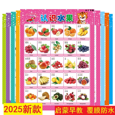 儿童早教启蒙宝宝认识动物颜色形状水果蔬菜国旗人物称呼无声挂图