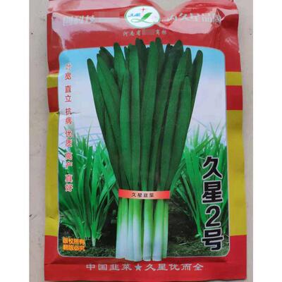 久星23号韭菜种子休眠品种春季早发直立性强鞘长肥嫩产量高抗衰老