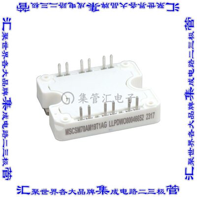 MSCSM70AM19T1AG 晶体管 MOSFET 2N-CH 700V 124A