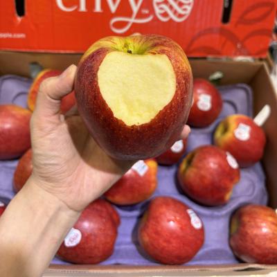 现货新西兰爱妃苹果进口新鲜礼盒