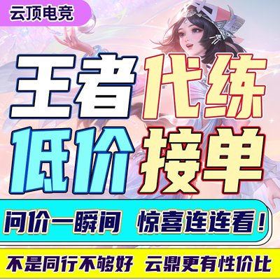 王者荣耀代练排位陪玩代打大小国标省标英雄战力实力上分车队
