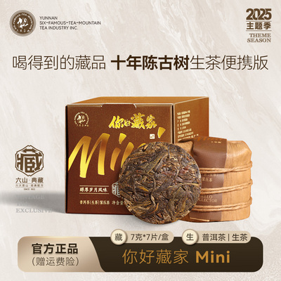 你好藏家·十年陈mini/六大茶山藏品十年陈古树生茶便携普洱茶49g