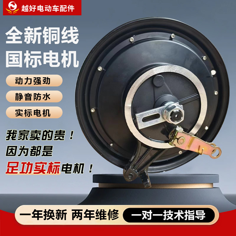 电动车电机10寸国标48V60V72V8001000W大功率电瓶车电摩后轮电机