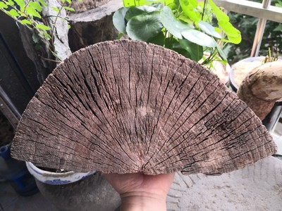 香樟木风化木老木头自然枯木朽木摆件道具造景自在观音坐观音底座