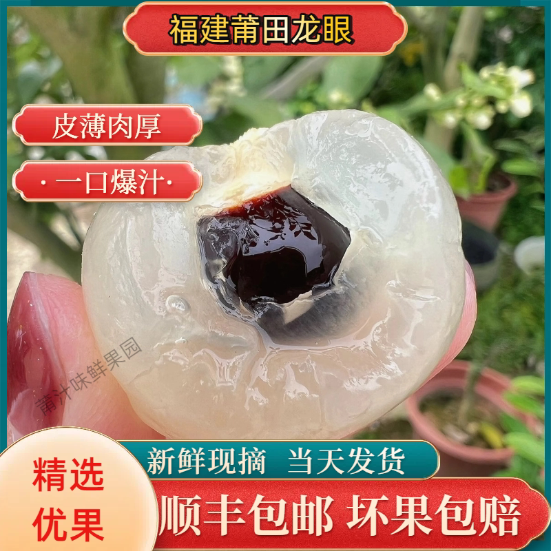 【空运包邮】福建正宗莆田龙眼新鲜莆汁味冷链礼盒单季水果送礼