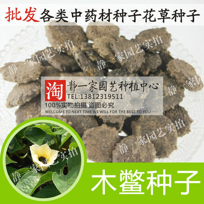 木鳖种子批发 木鳖果 狗屎瓜 臭屎瓜 木鳖子 木别子 木憋子包邮