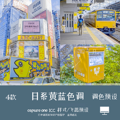 capture one样式 日系小清新黄蓝浅色调调色滤镜C1飞思预设CO854