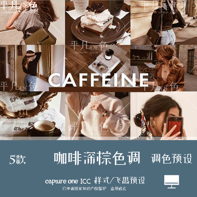 capture one样式 咖啡深棕色调人像旅拍调色滤镜 c1飞思预设CO717
